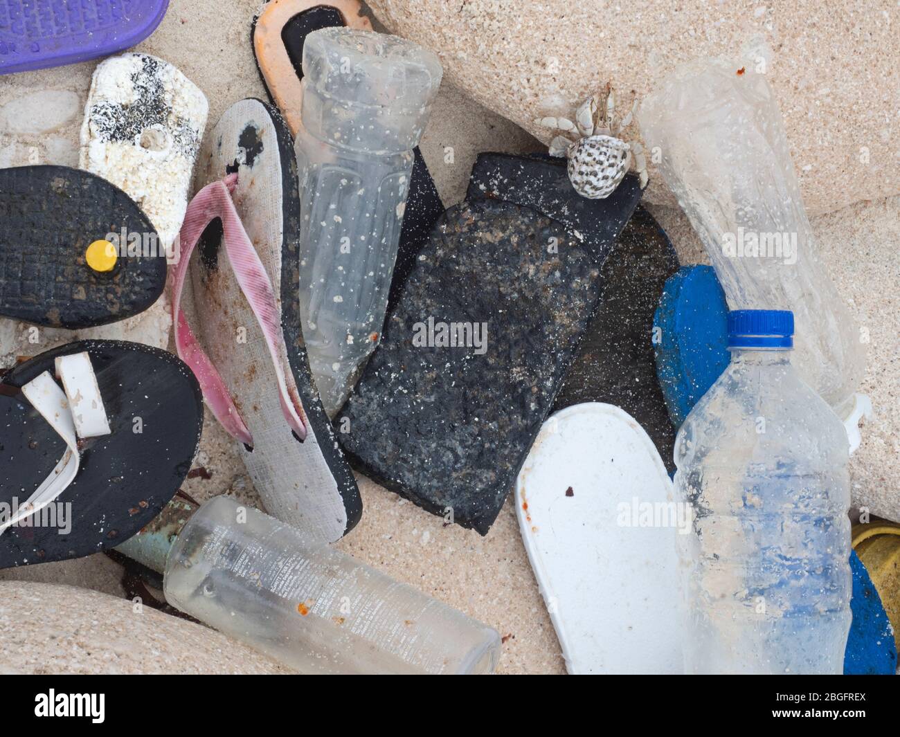 Plastic rubbish washed ashore on Wizard Island, Cosmoledo Atoll ...