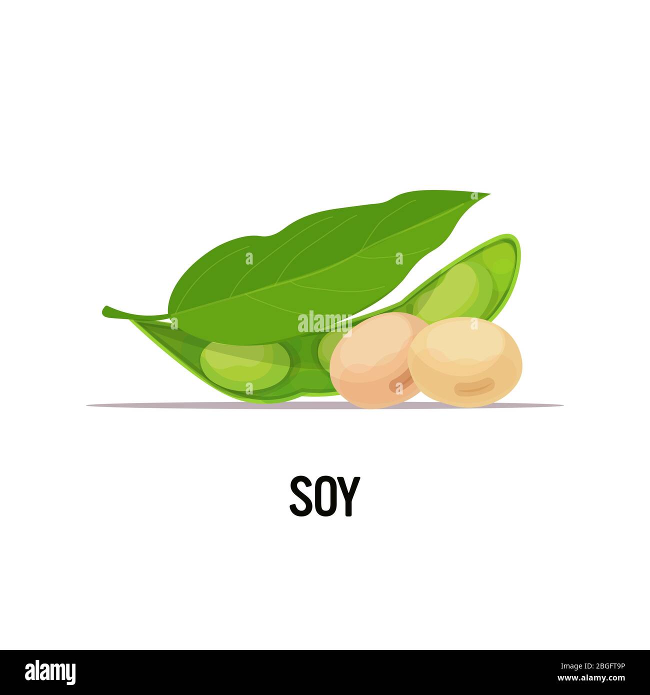 Soya free Stock Vector Images - Alamy