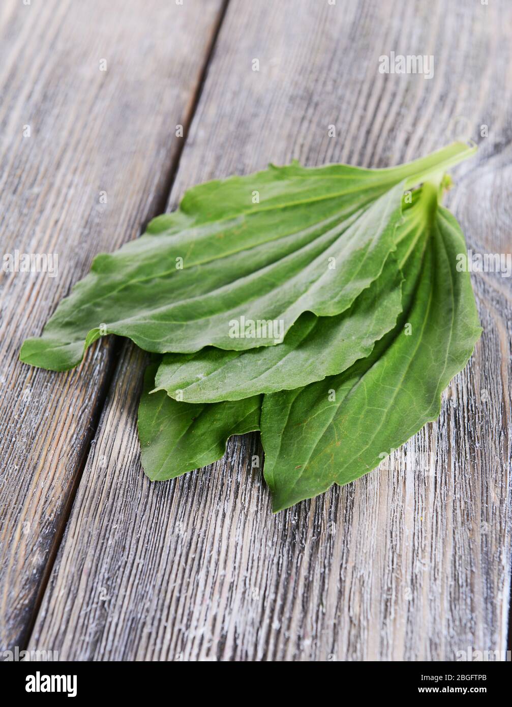 Plantain leaves on wooden background Stock Photo - Alamy