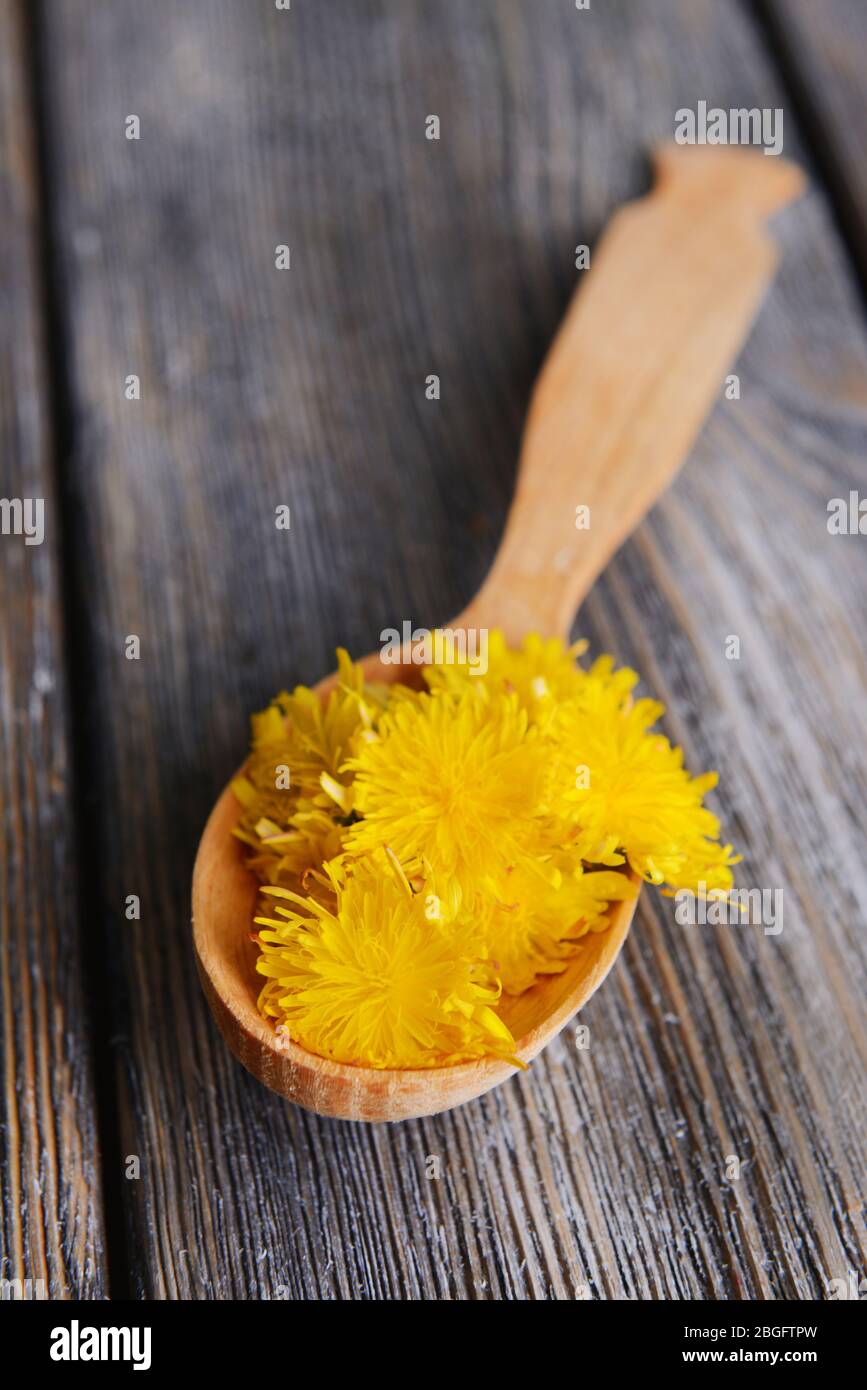 Dandelions in wooden spoon on table close-up Stock Photo - Alamy
