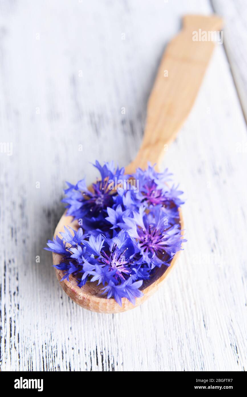 Cornflowers in wooden spoon hi-res stock photography and images - Alamy