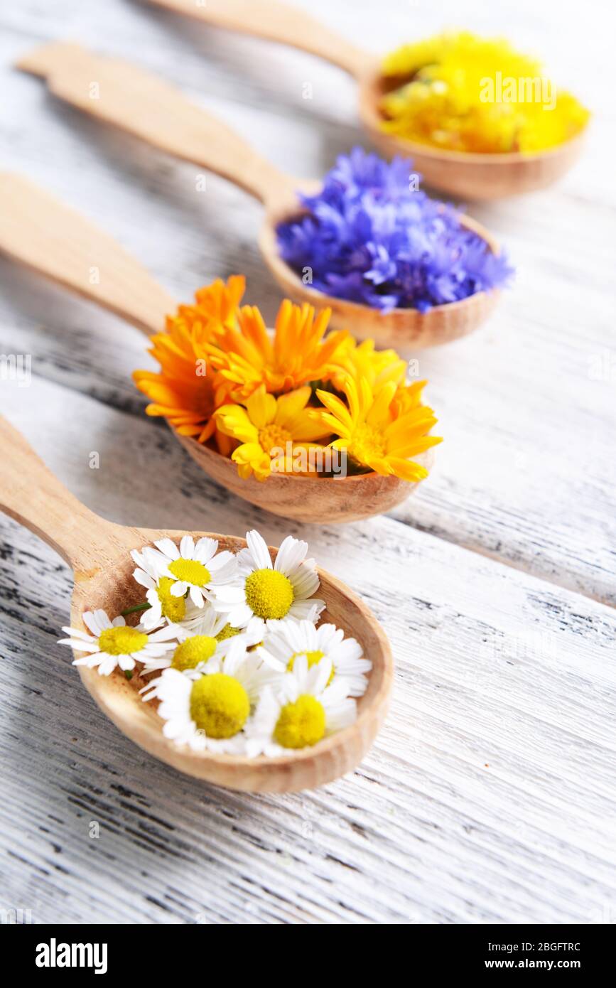 Fresh medical herbs in wooden spoons on table close-up Stock Photo - Alamy