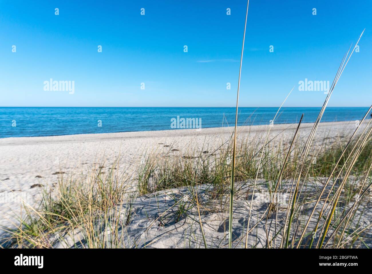 sun mood in denmark, sunrise, germany Stock Photo - Alamy