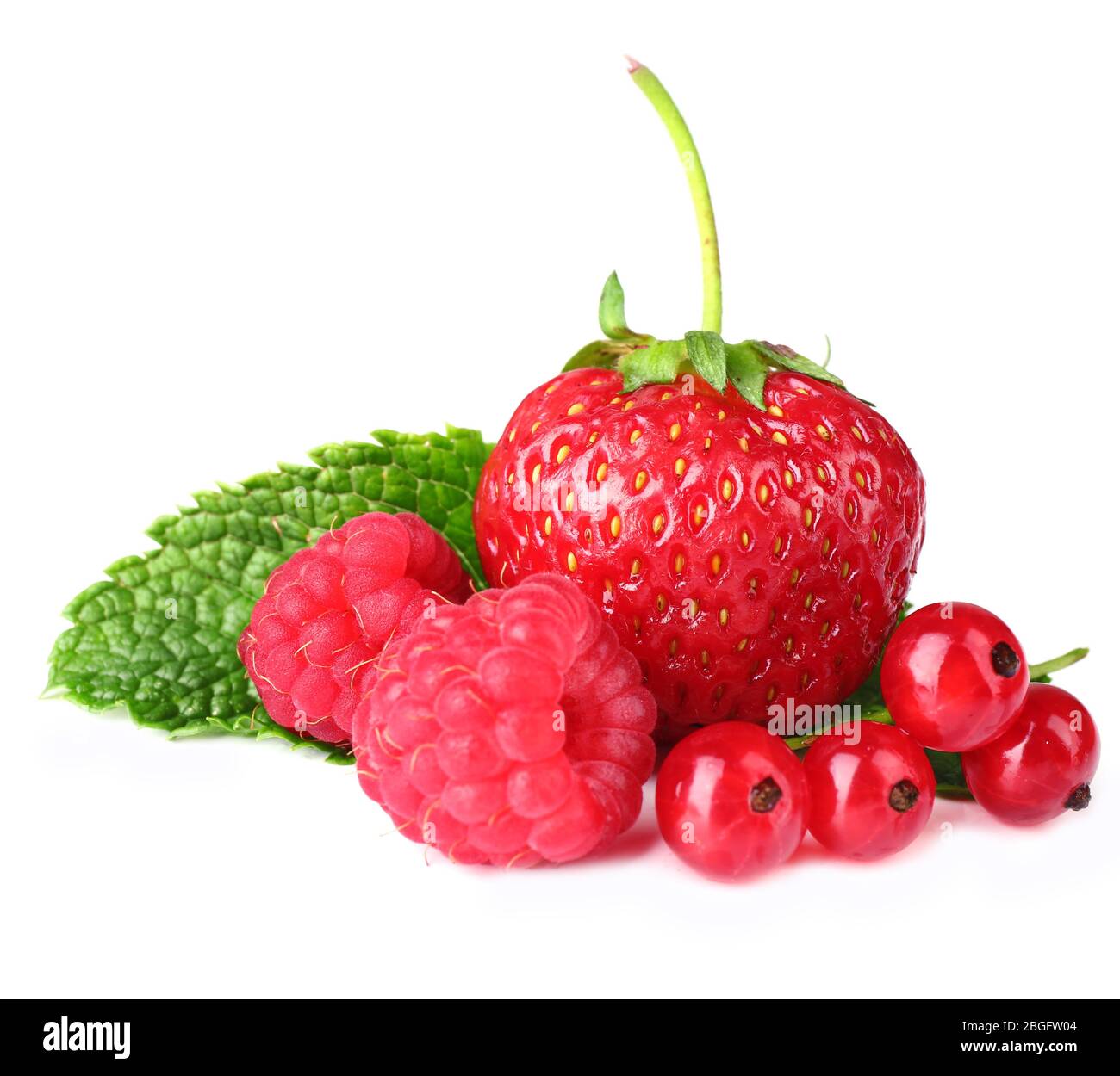 Forest berries isolated on white Stock Photo - Alamy