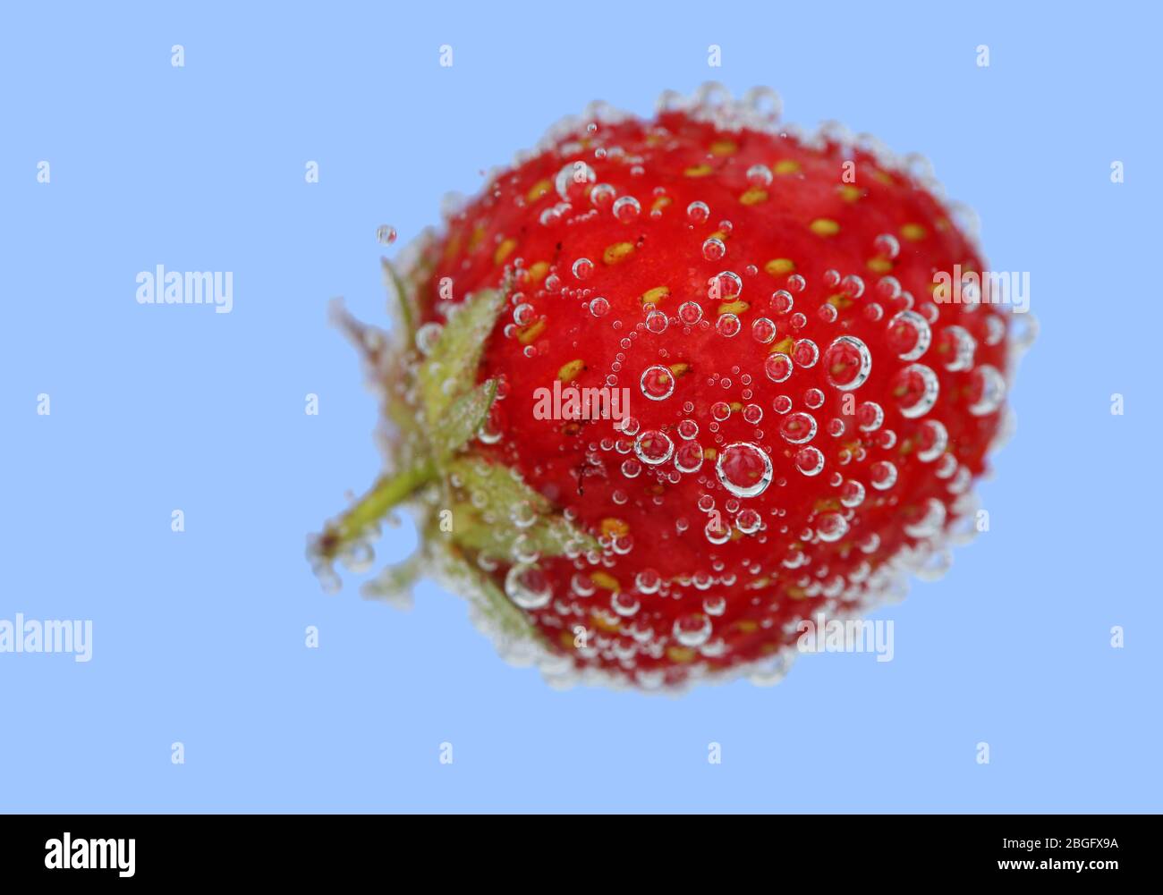 Beautiful strawberry in water with bubbles, on blue background Stock ...