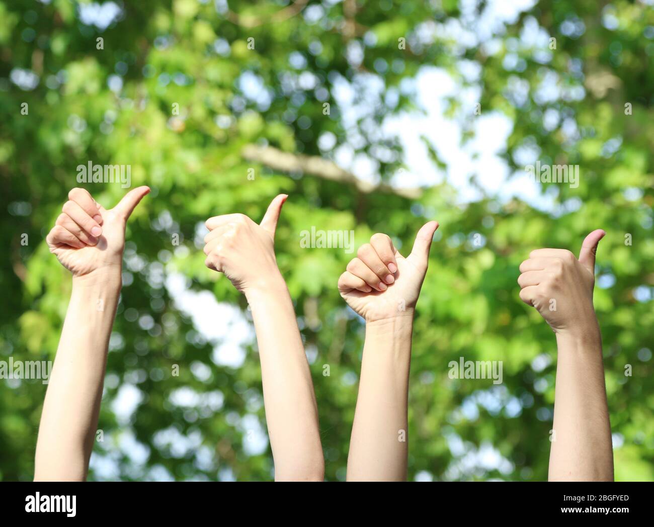 People show thumbs up on natural background Stock Photo - Alamy