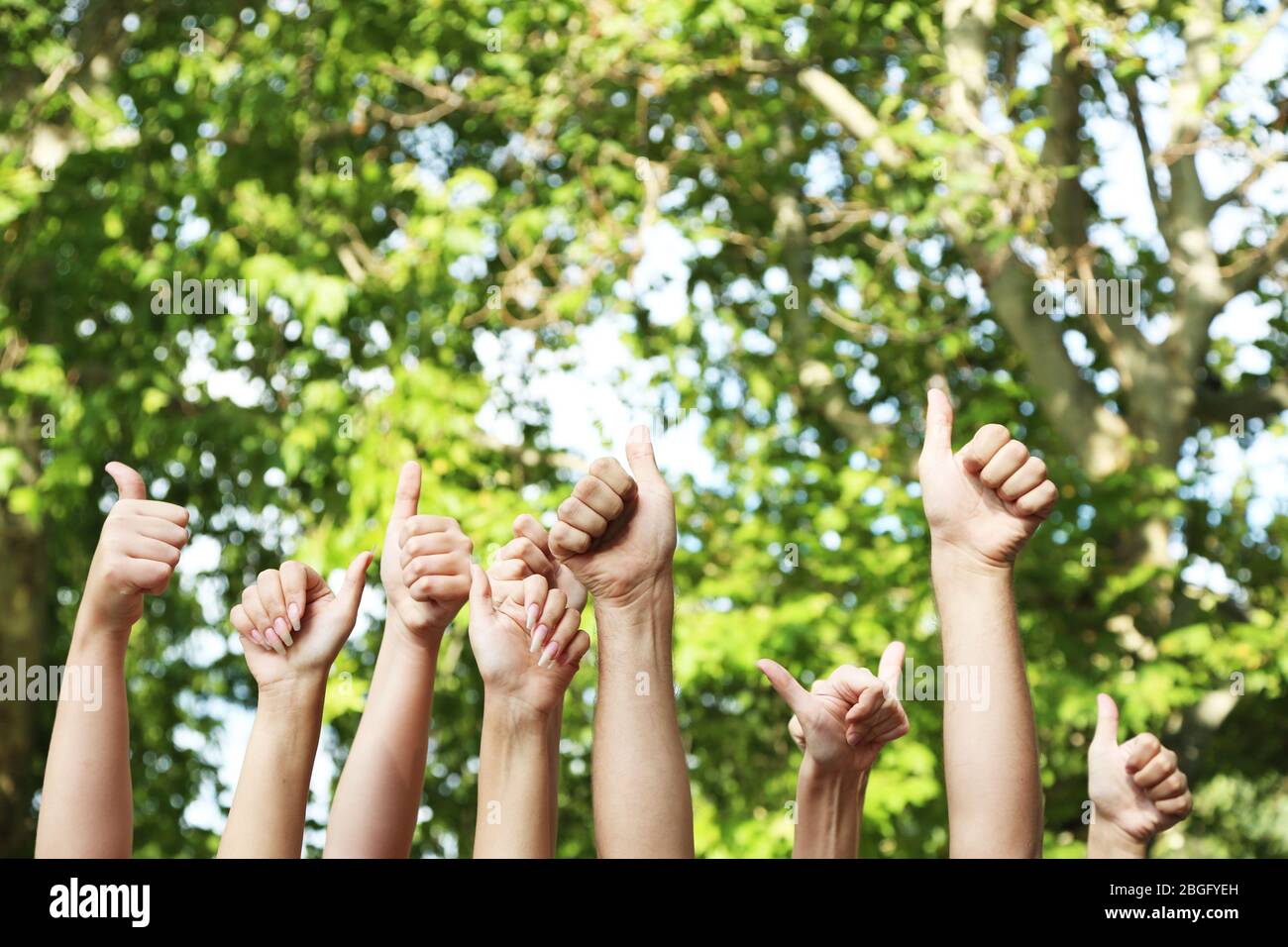 People show thumbs up on natural background Stock Photo - Alamy