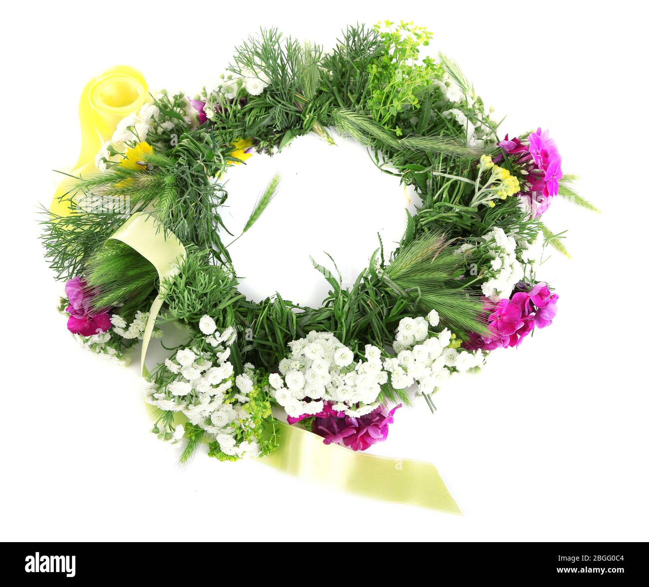 Wild flower colours Cut Out Stock Images & Pictures - Alamy