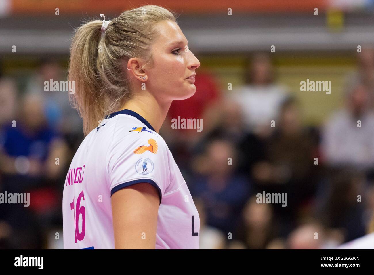 Anna nicoletti lardini filottrano hi-res stock photography and images ...