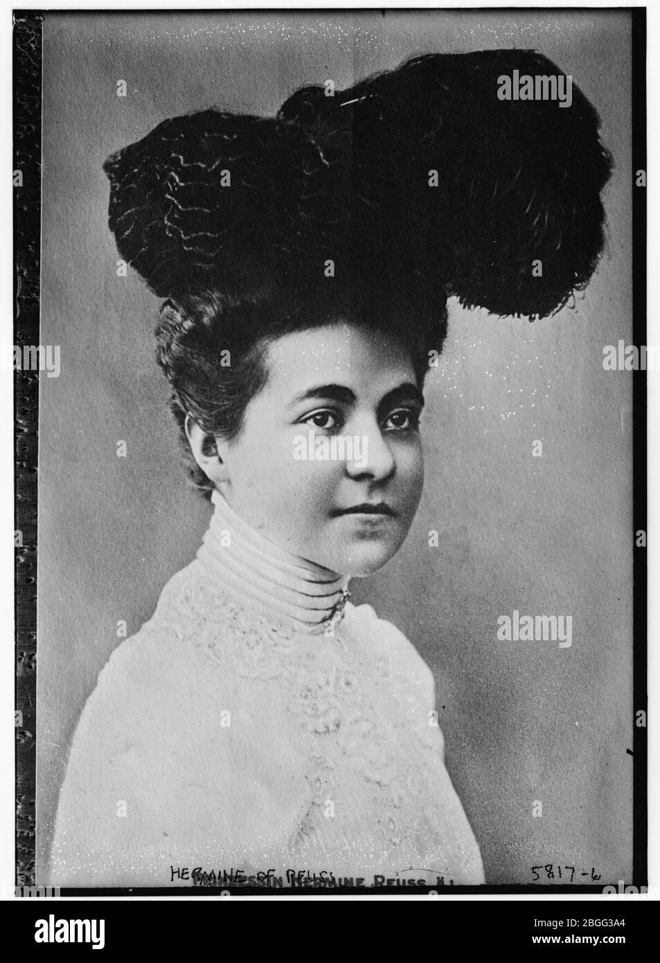 Hermine of reuss hi-res stock photography and images - Alamy