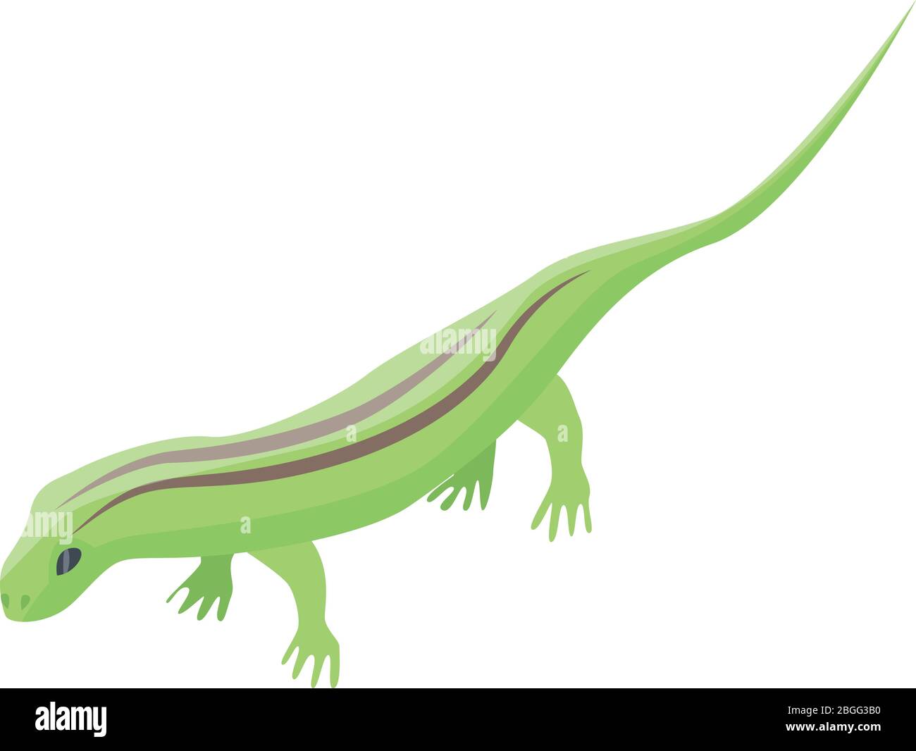 Field lizard icon, isometric style Stock Vector Image & Art - Alamy