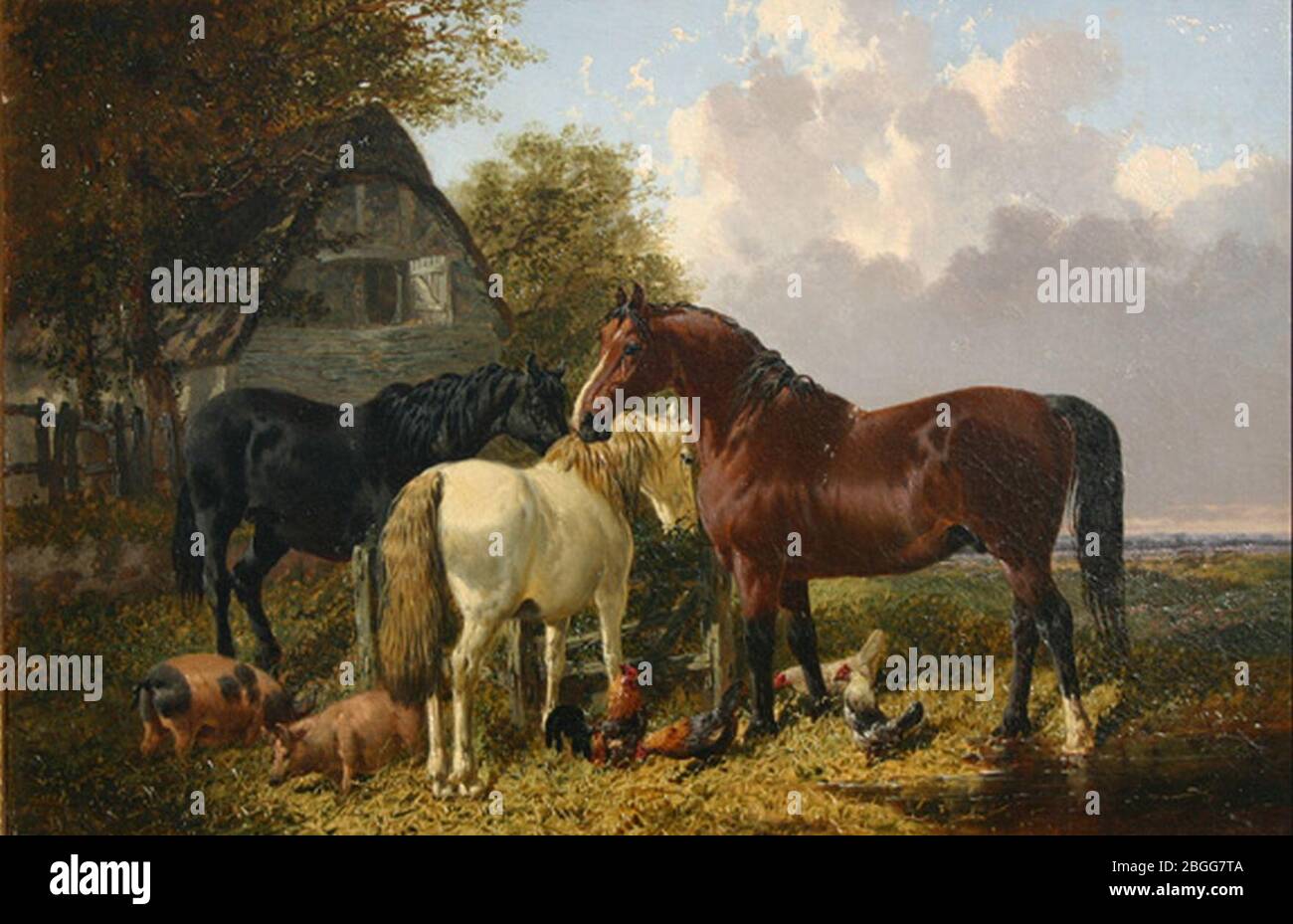 Herring A Farmyard Scene Stock Photo - Alamy