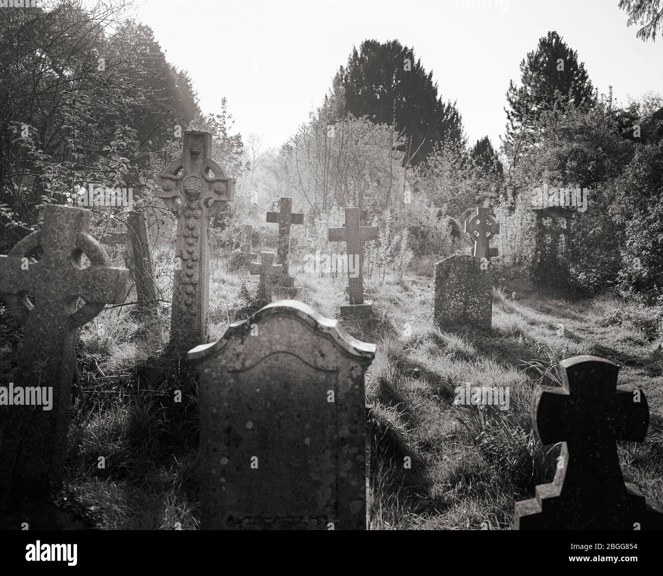 Holywell cemetery hi-res stock photography and images - Alamy