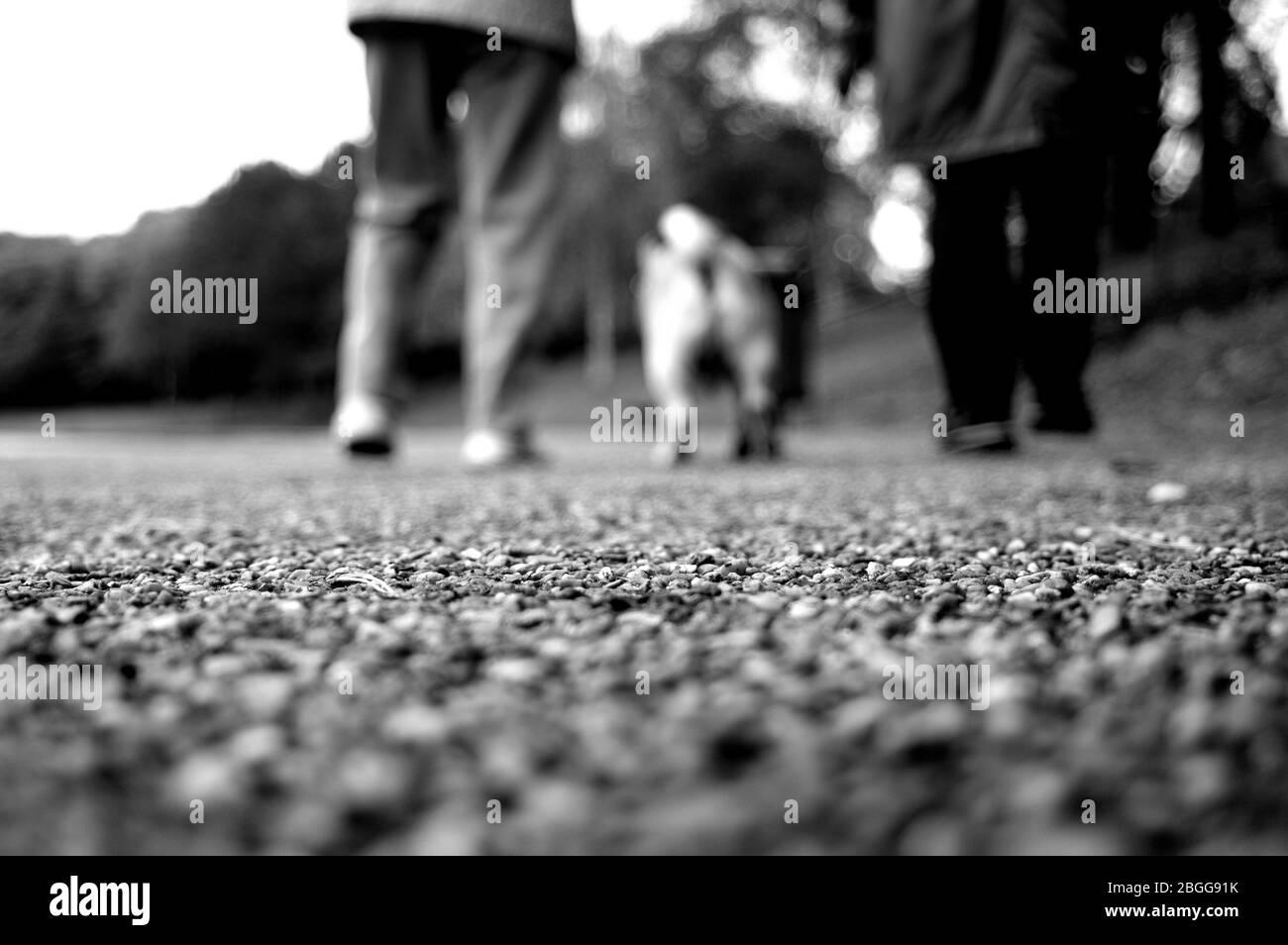 Open roadway Black and White Stock Photos & Images - Alamy
