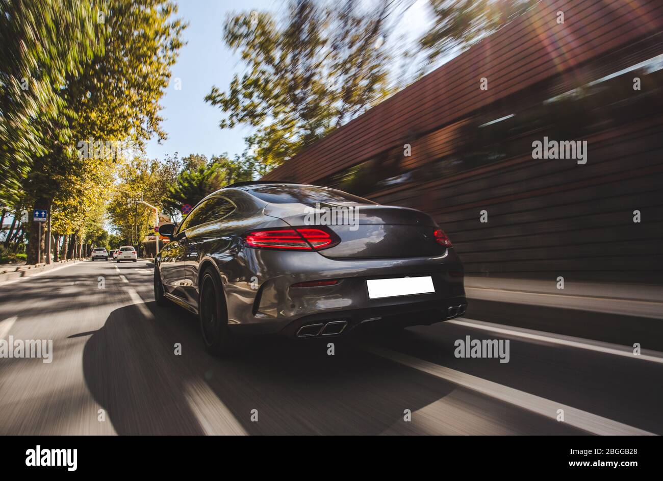 Black race car with black stripe on it in the forest, view from behind ...