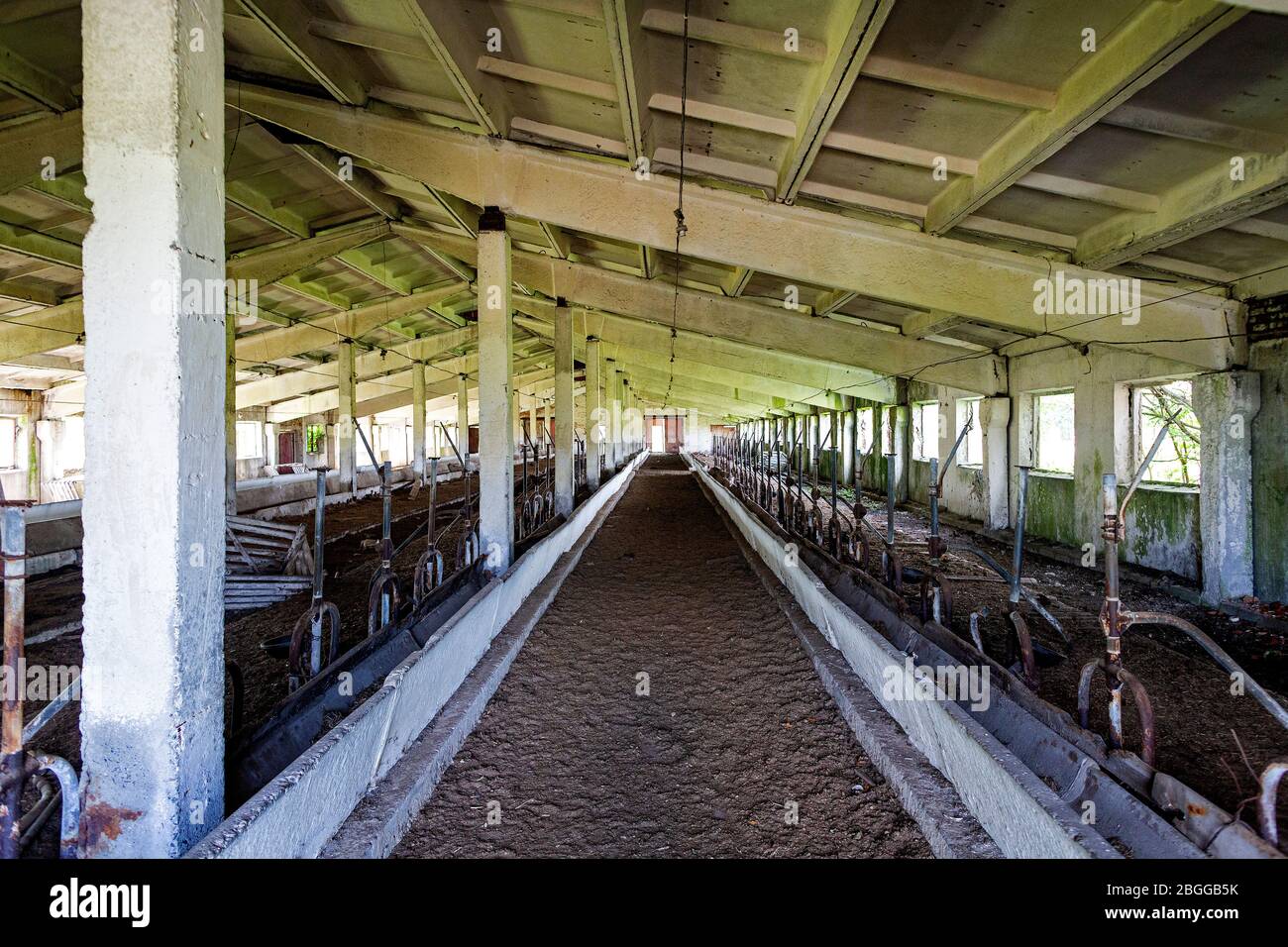The June 18, 2019, photo of deserted cowhouse in an abandoned territory ...