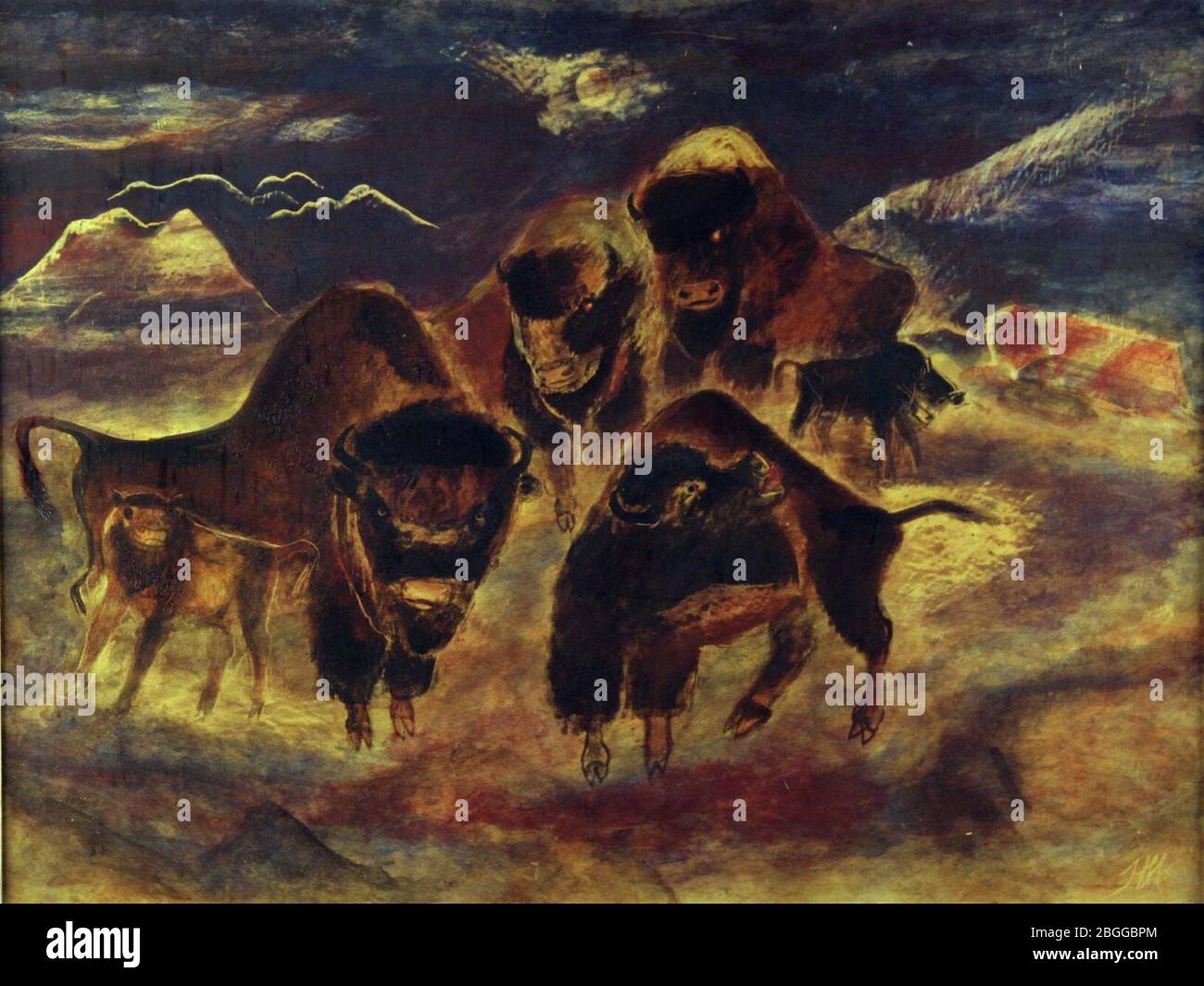 Hester Miller Murray - Buffalo at Night Stock Photo - Alamy