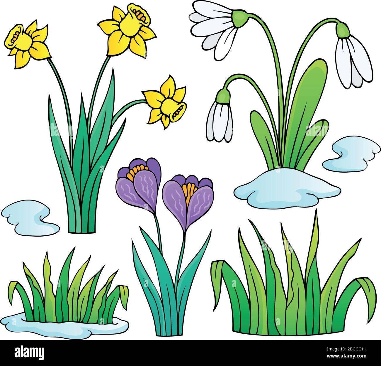 Early spring flowers theme set 1 - eps10 vector illustration Stock ...