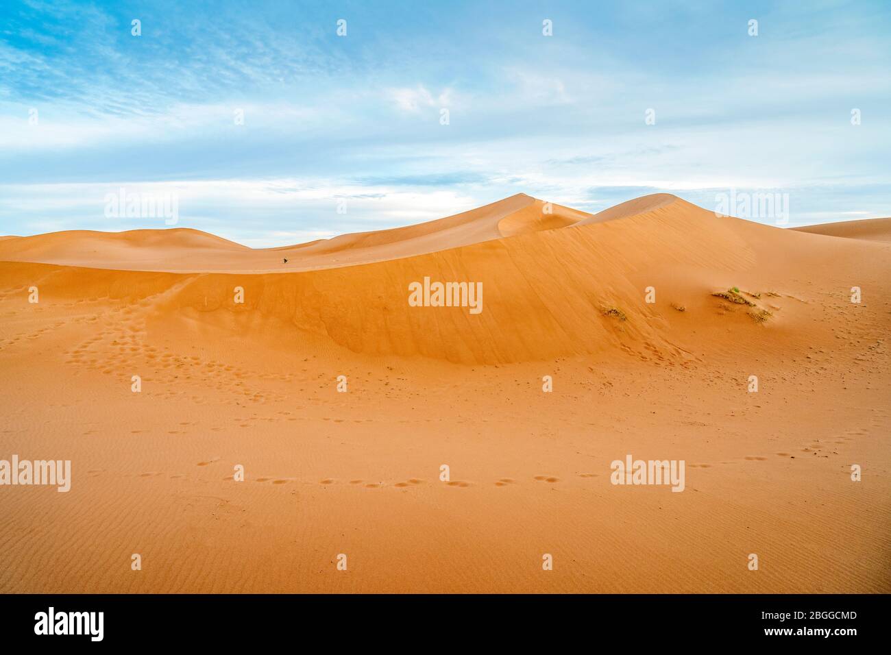 Sahara desert sand dunes hi-res stock photography and images - Alamy