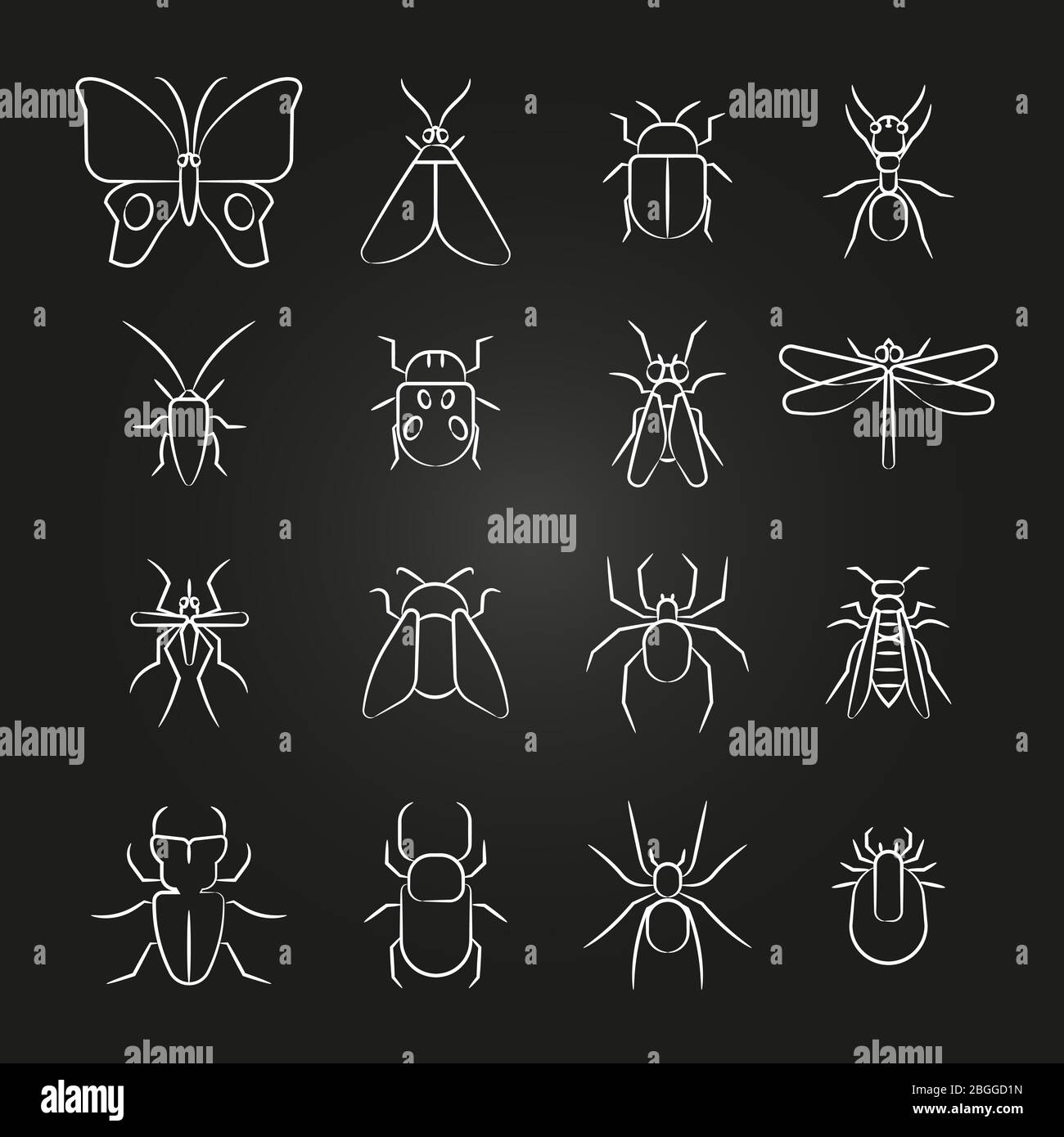 Popular insects line icons set. Bug and beetle, bee and spider. Vector ...