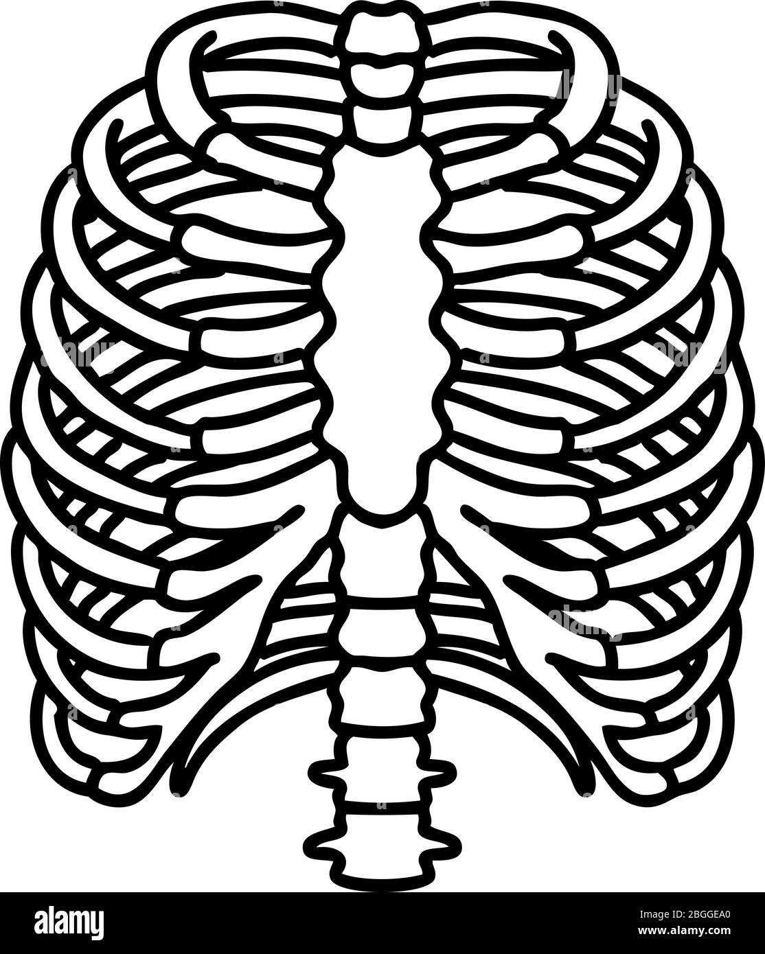 tattoo in black line style of a rib cage Stock Vector Image & Art - Alamy