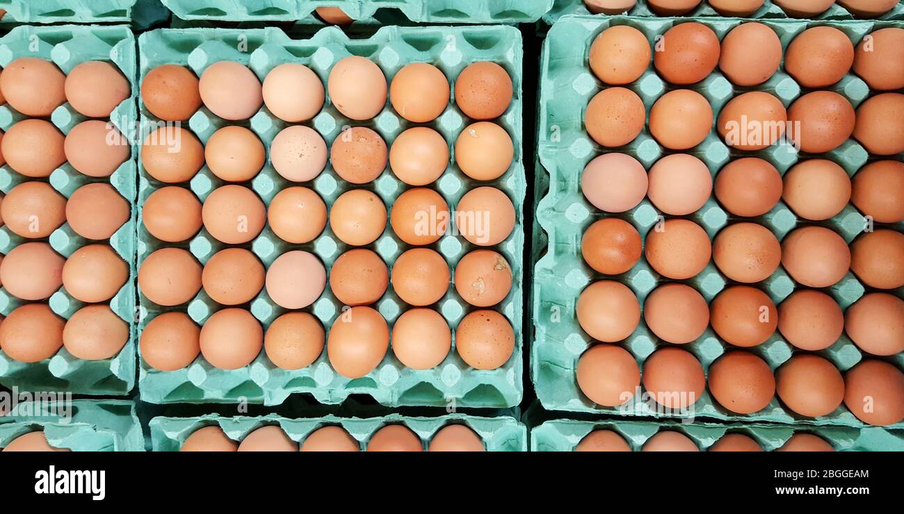 Egg panels arranged on a chicken farm for market sale Stock Photo - Alamy