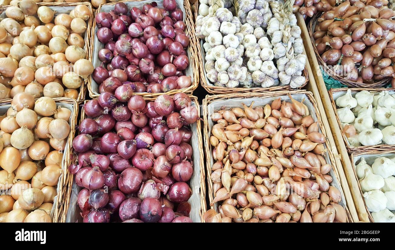 mix of different colored red and white onions background Stock Photo ...