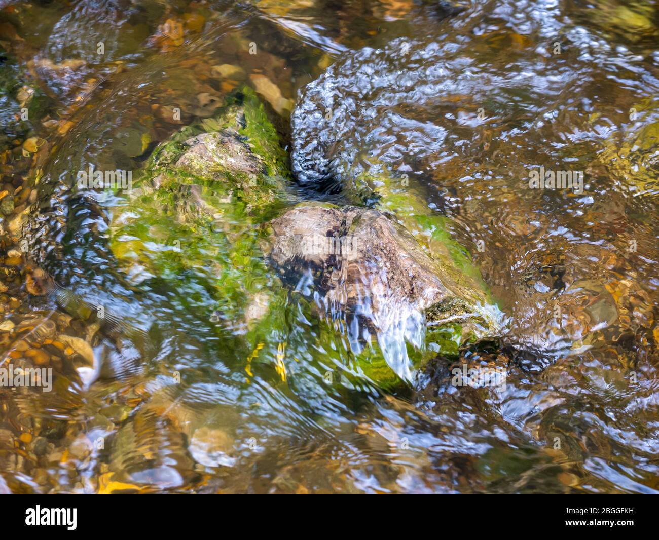Close up small stream running hi-res stock photography and images - Alamy