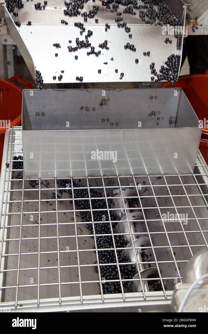 Grapes machine hi-res stock photography and images - Alamy