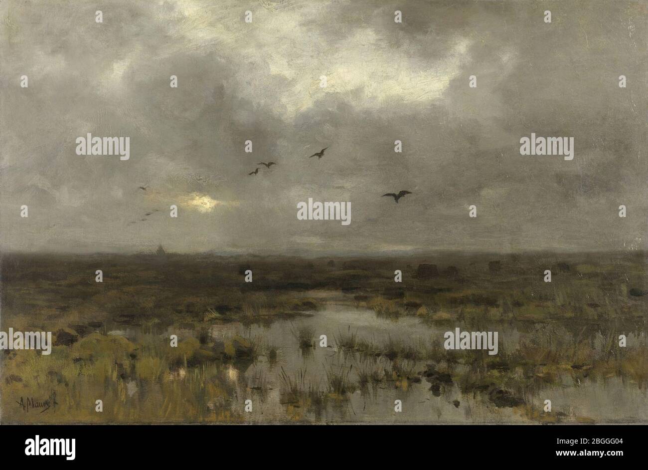 Het moeras hi-res stock photography and images - Alamy