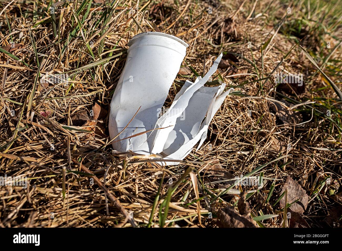 Carelessly discarded garbage in nature hi-res stock photography and ...