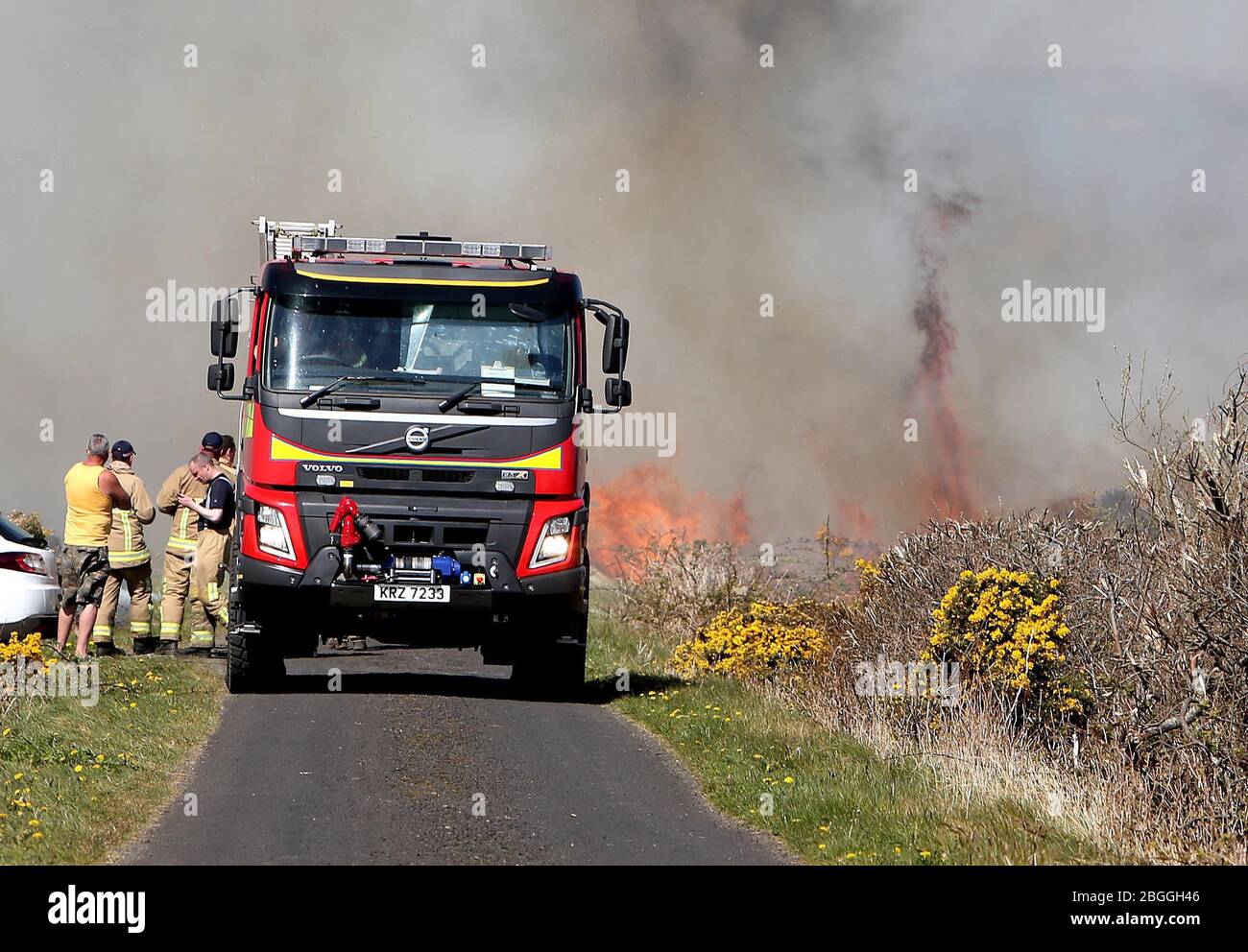 To extinguish wild fires hi-res stock photography and images - Alamy