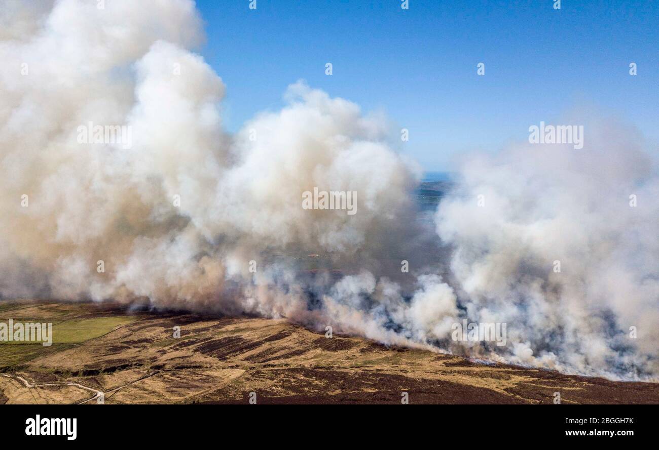 Gorse fires ireland hi-res stock photography and images - Alamy