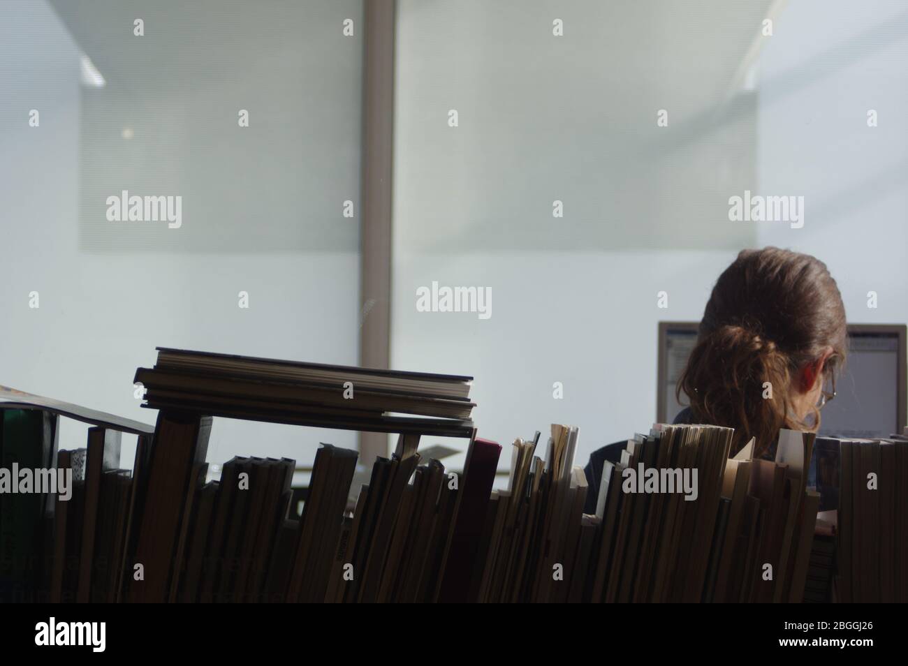 Skilled professional female administrative manager Stock Photo - Alamy