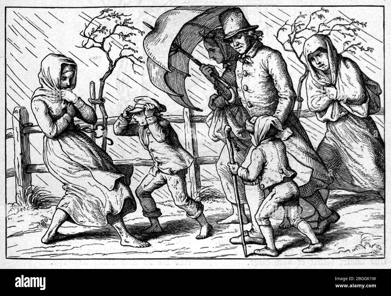 Heubner hi-res stock photography and images - Alamy