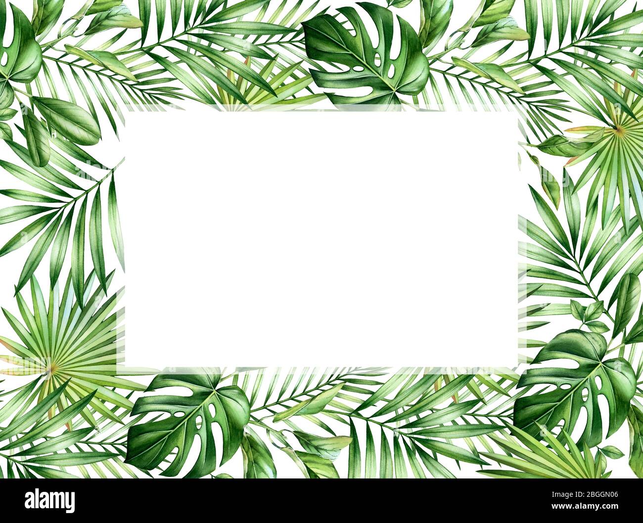 Watercolor tropical banner. Horizontal frame with palm and monstera ...