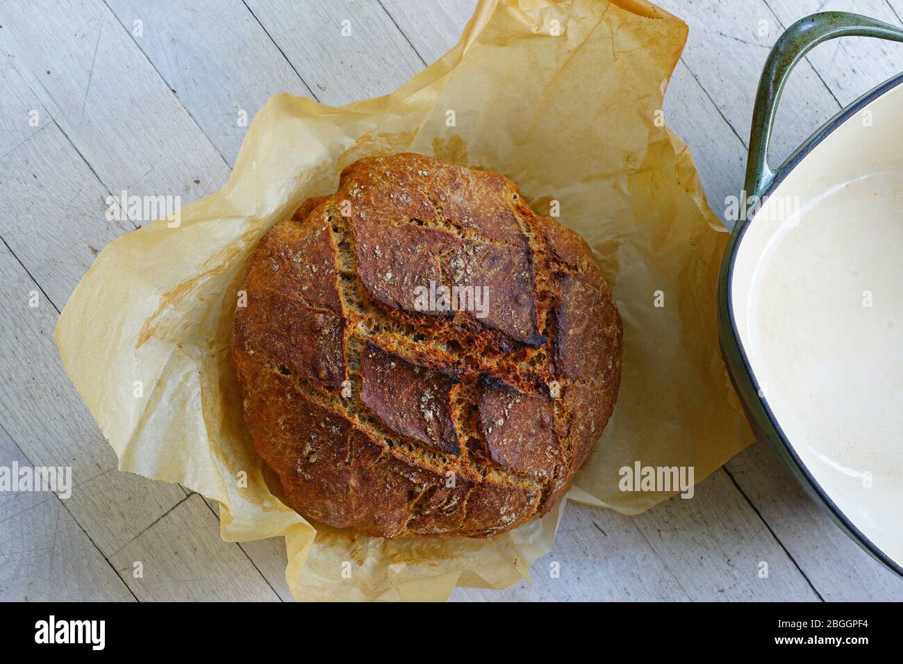 Loaf of crusty miracle overnight no knead bread baked on parchment ...