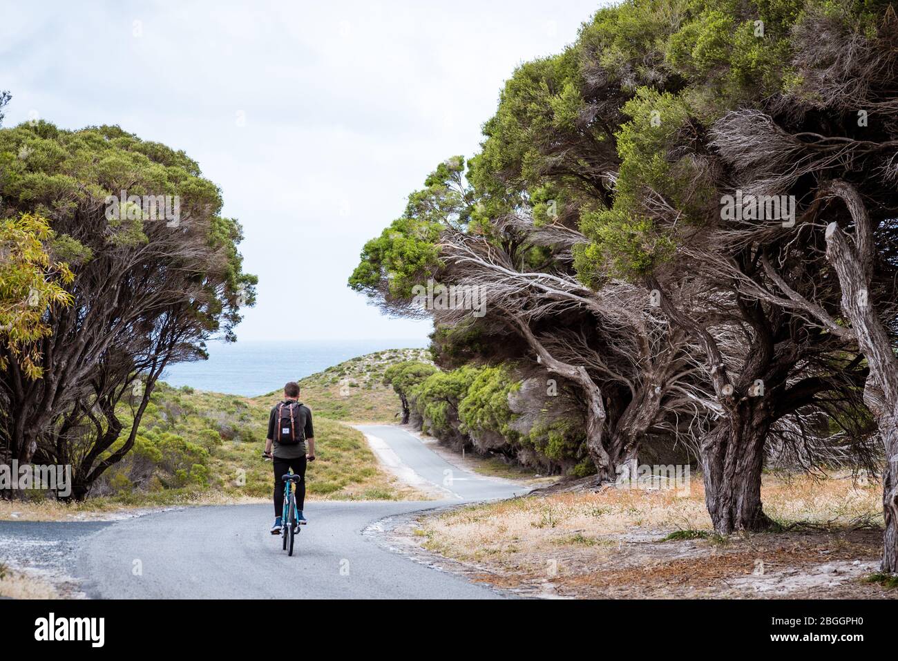 Rottnest cycle hi-res stock photography and images - Alamy