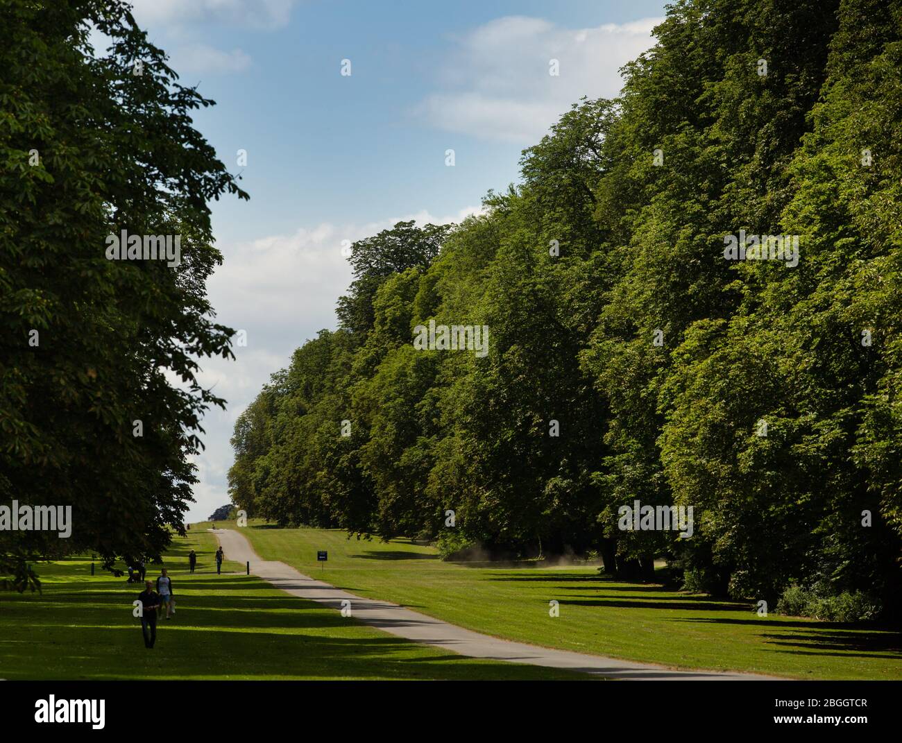 Walks in Cirencester Park in England Stock Photo - Alamy
