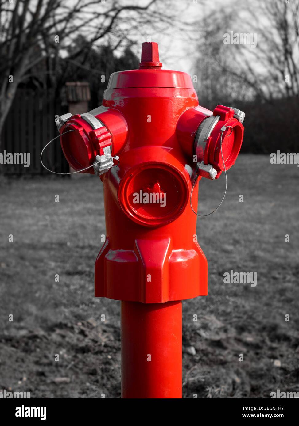 Red fire hydrant in rural area with black and white grass behind it ...