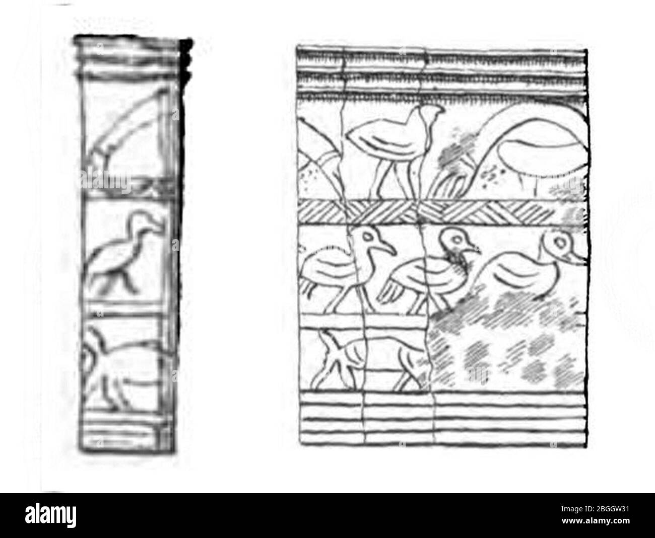 Hierakonpolis ivory cylinder with animals with impression (drawing ...