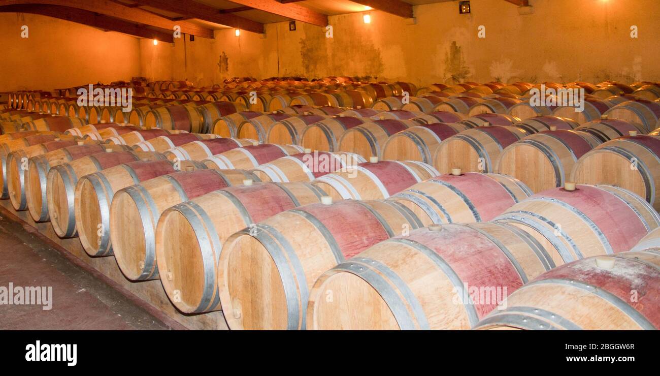 large wine cellar in Bordeaux France with wood oak barrel Stock Photo ...