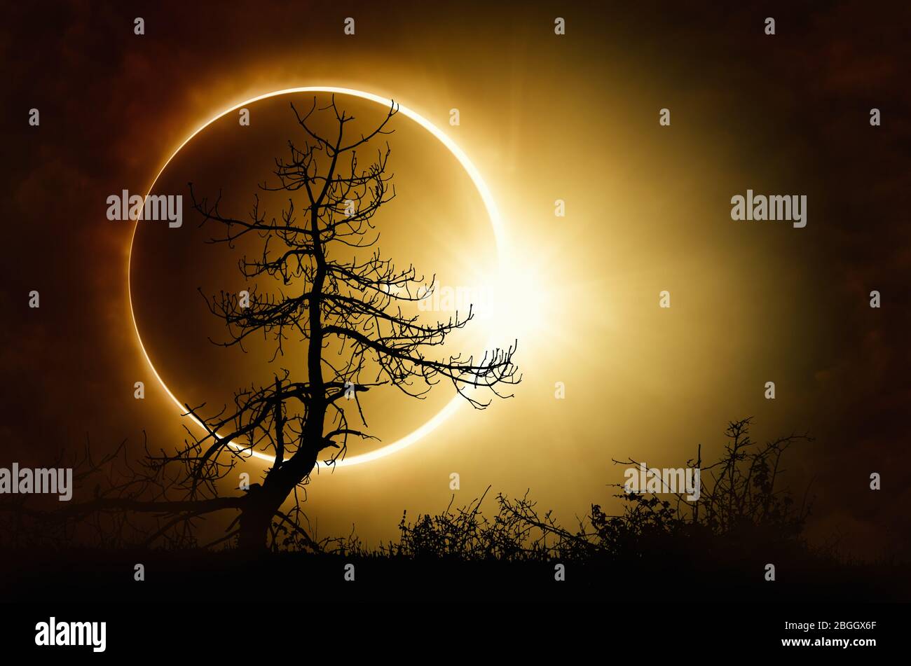 Mysterious Natural Phenomenon