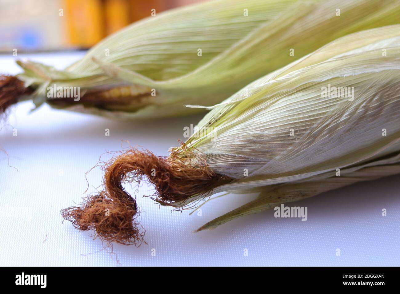 Fresh organic Sweet corn isolated on white background Stock Photo - Alamy