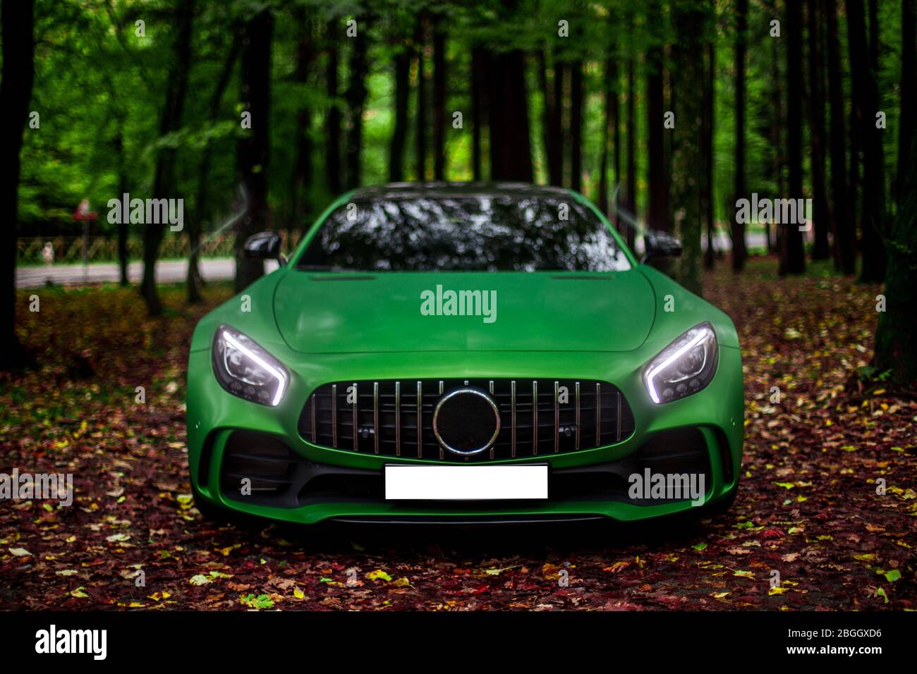 Dark Green Sports Cars