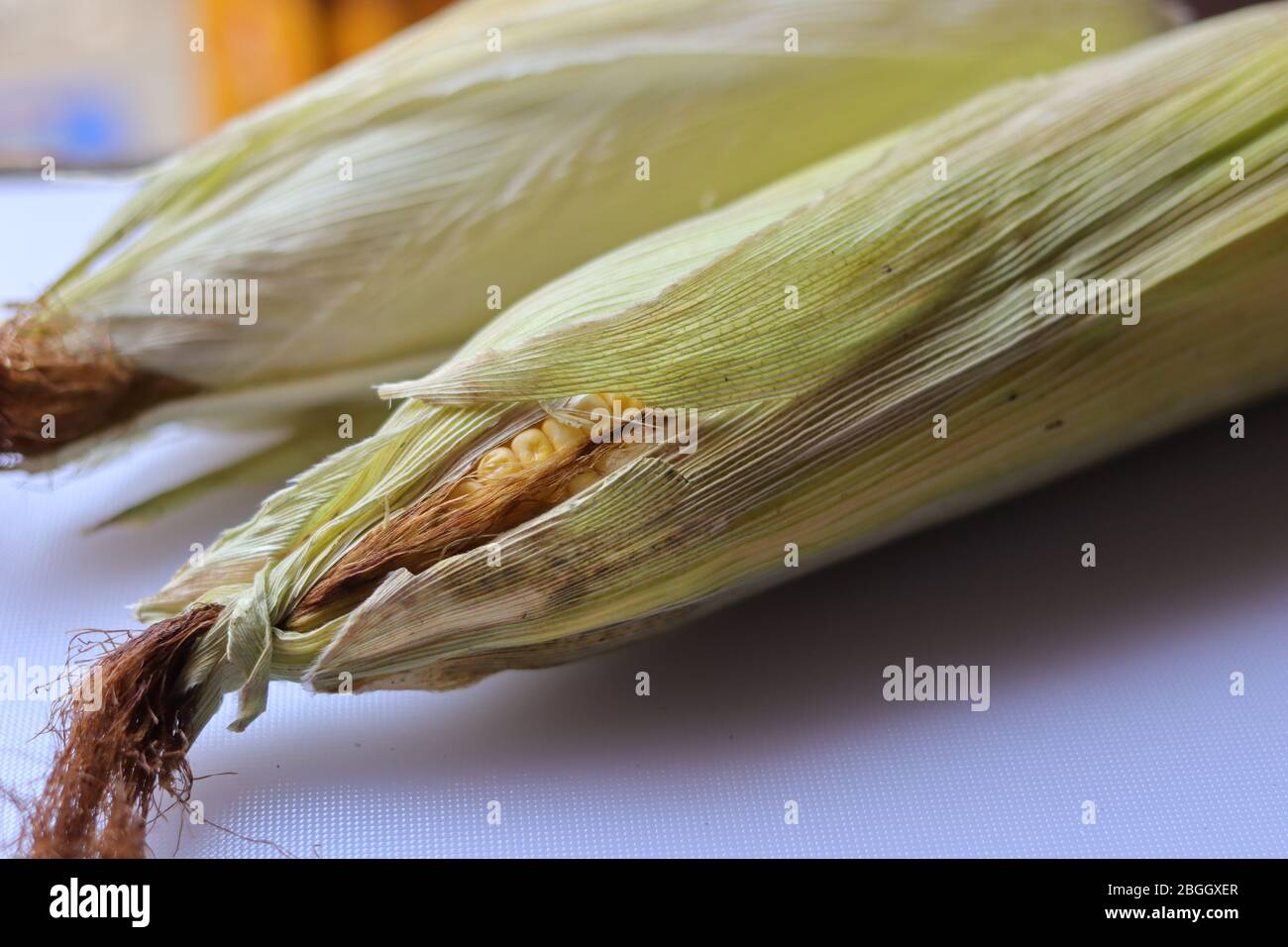 Fresh organic Sweet corn isolated on white background Stock Photo - Alamy