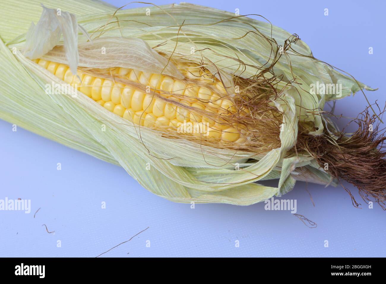 Fresh organic Sweet corn isolated on white background Stock Photo - Alamy