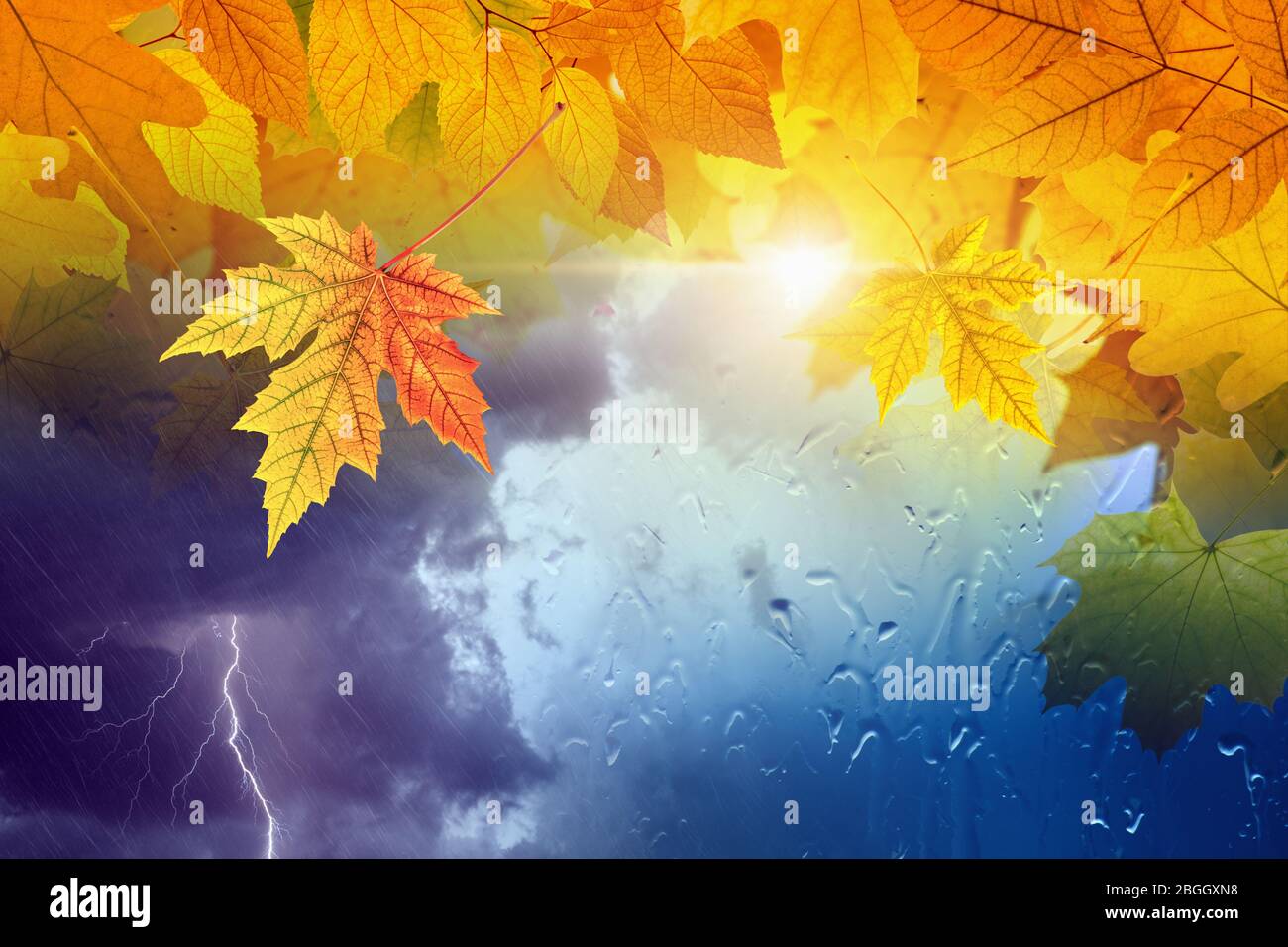 Seasonal autumn background, collage with yellow leaves outside window ...