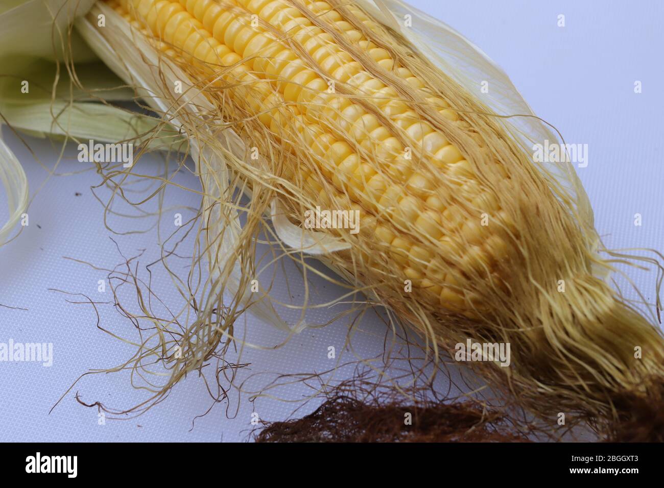 Fresh organic Sweet corn isolated on white background Stock Photo - Alamy