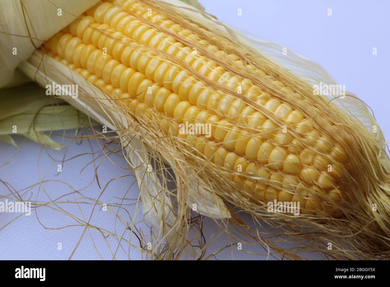 Fresh organic Sweet corn isolated on white background Stock Photo - Alamy